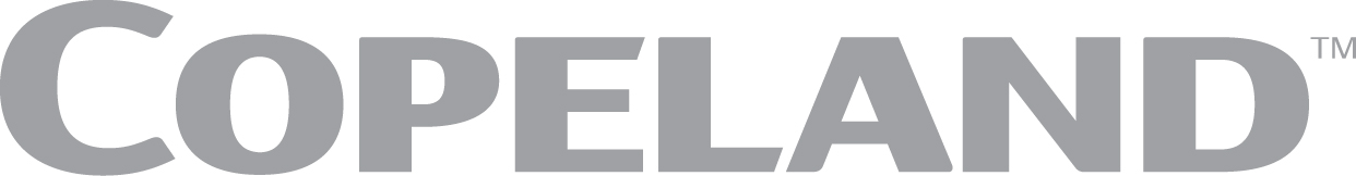 About the Skills Canada Virtual National Competition 2021